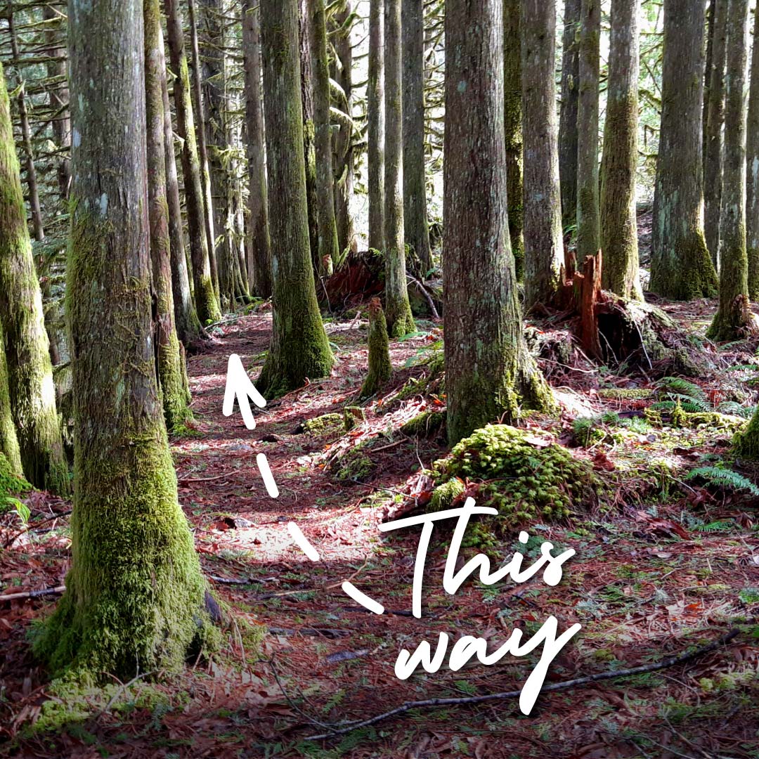THE SPRING 10 GRIND CHALLENGE (CHILLIWACK) - Explorer Series